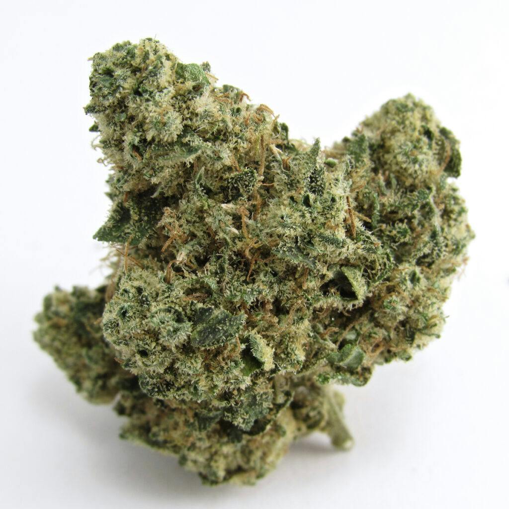 8 Best Weed Strains For Sex 2023 Edition Leafly