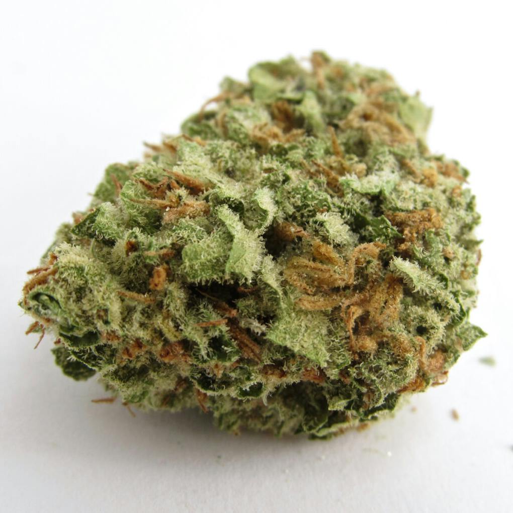 The Apple Fritter weed strain is September 2022's Leafly HighLight