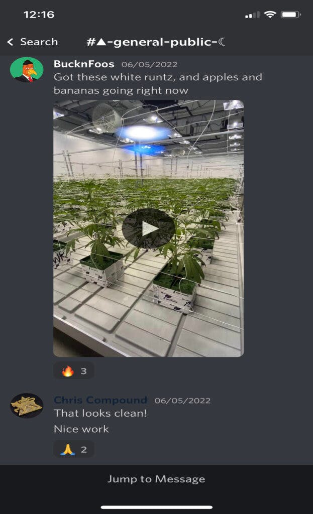 Why Discord is weed's hottest platform in 2022 | Leafly