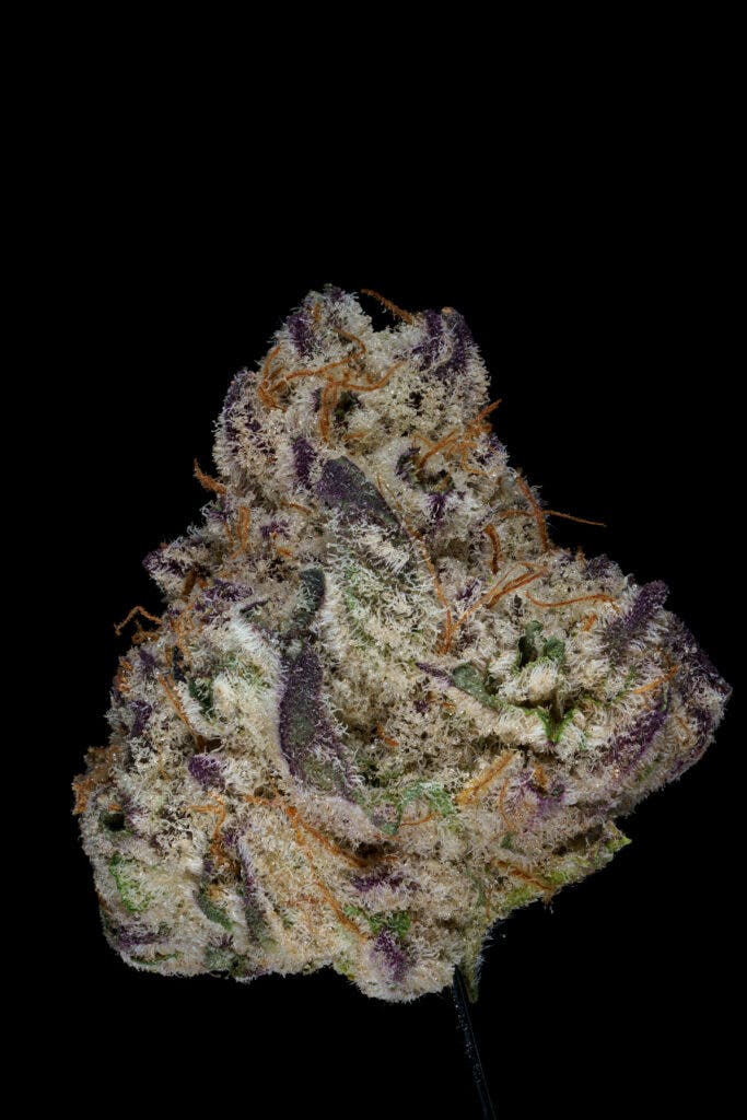 Craft cultivars for the cannabis connoisseur | Leafly