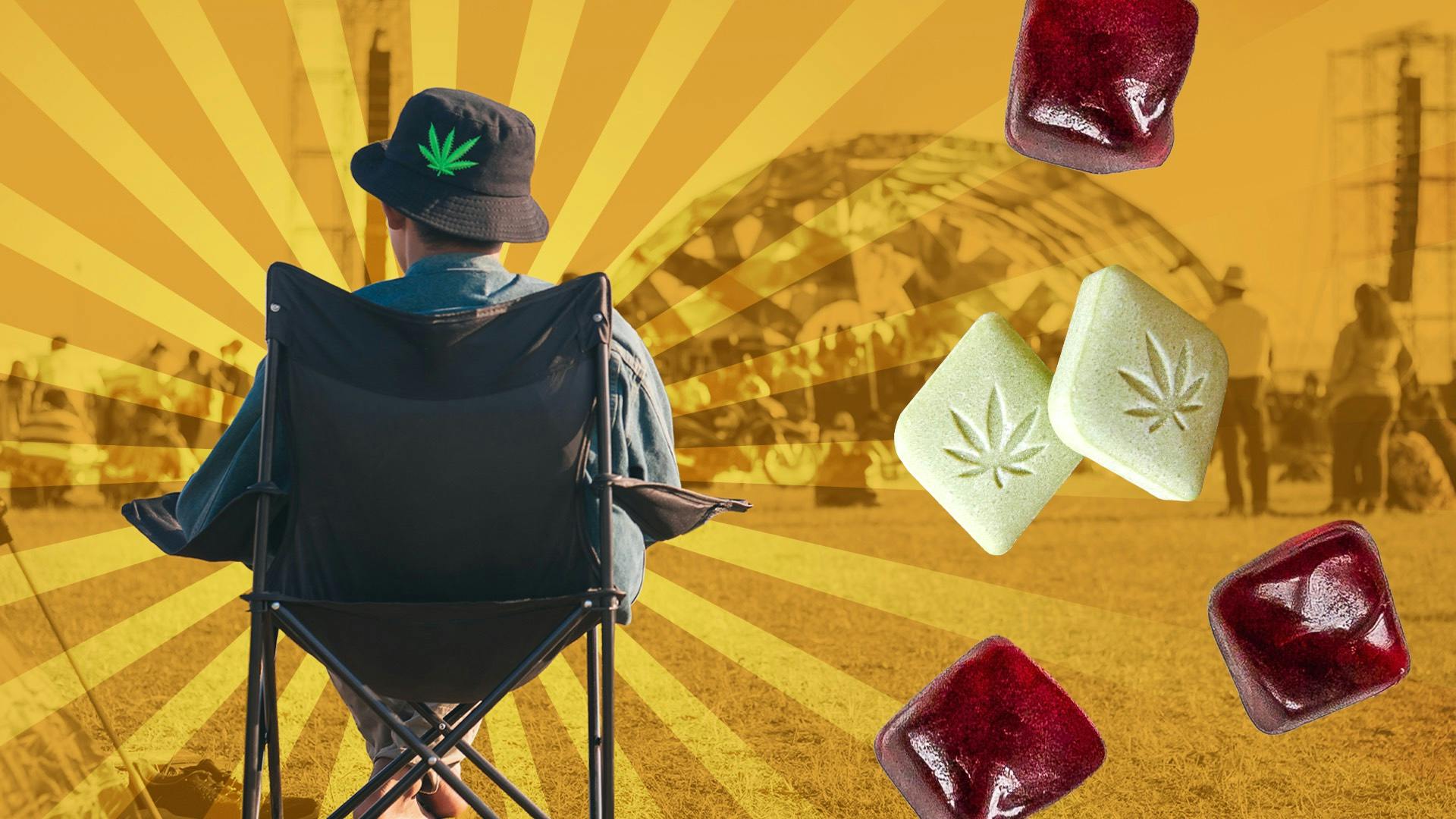 Indica vs. sativa: definition, effects, charts, differences [Updated ...