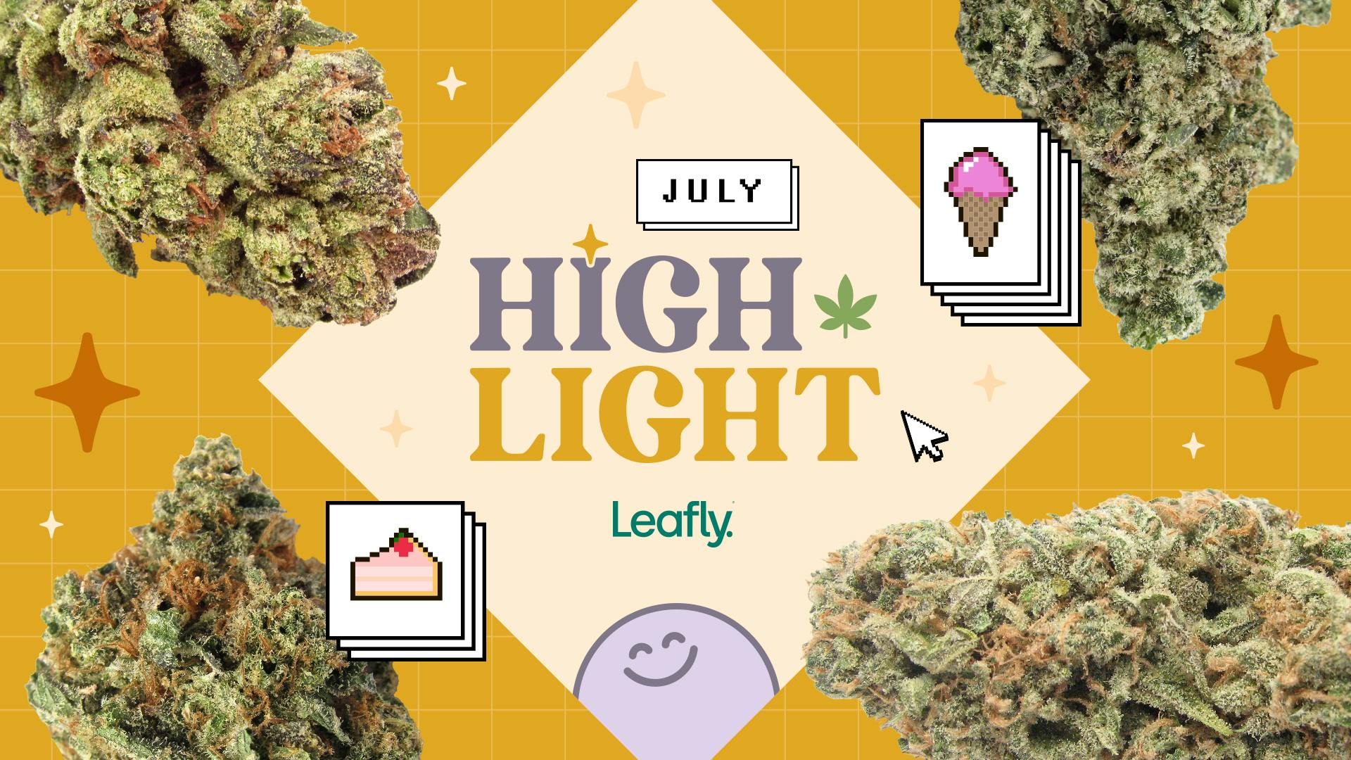 Is a Catnip High Like a Cannabis High? | Leafly