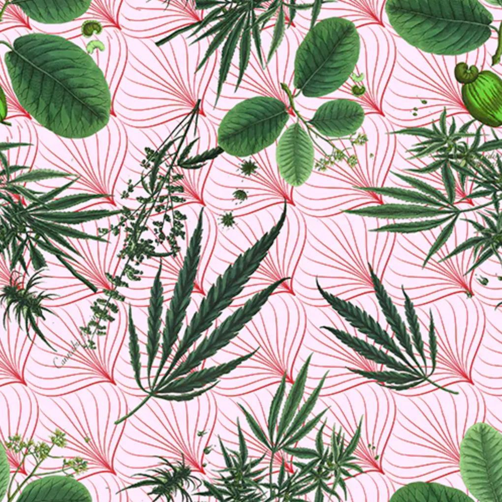 Dank Decor: Create a Cannabis Oasis At Home | Leafly