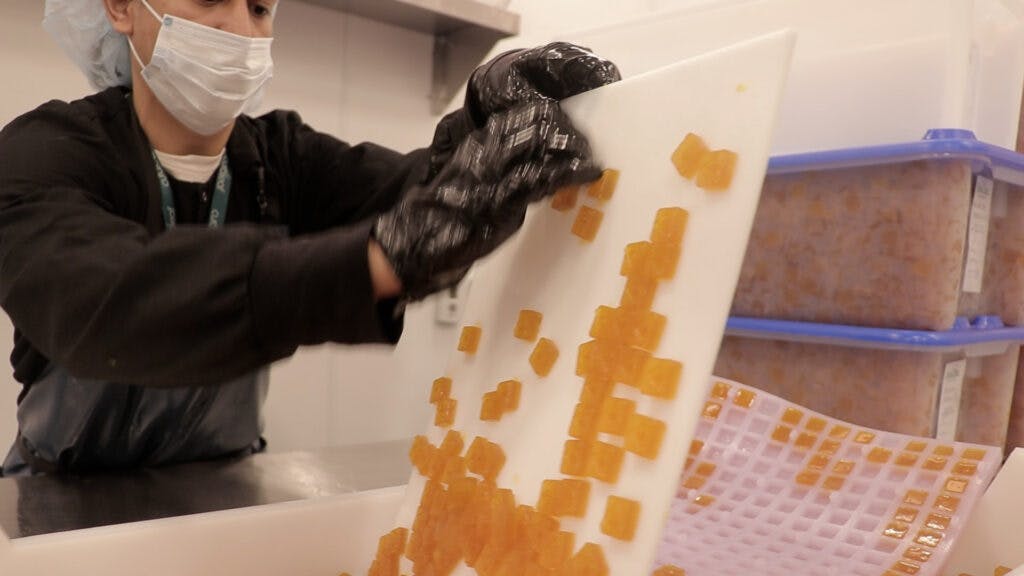 Inside New Jersey's largest legal weed factory | Leafly