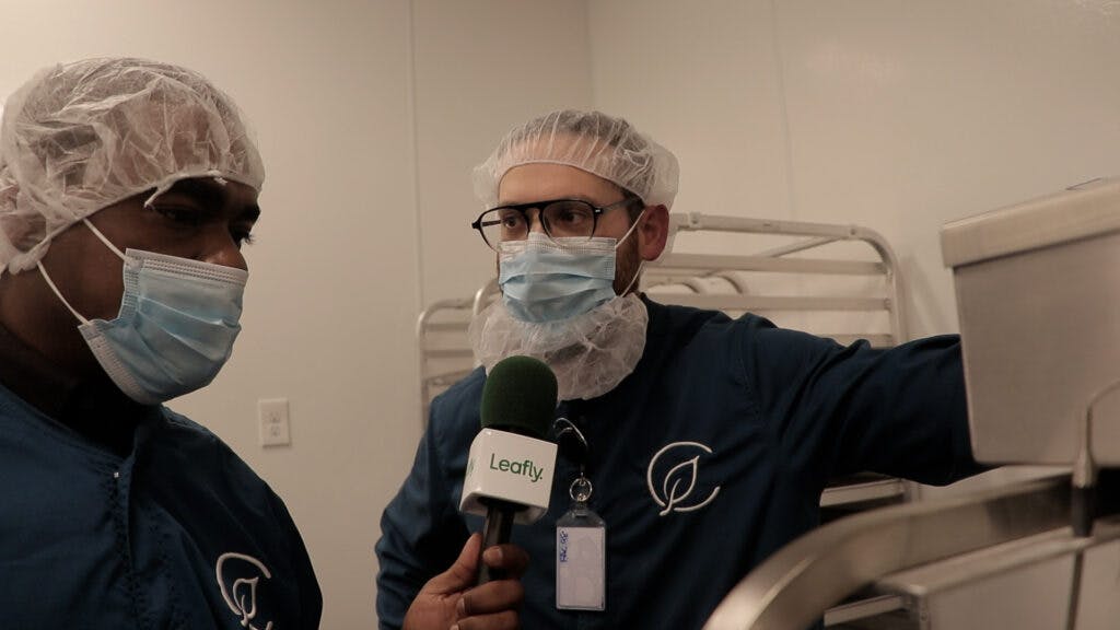 Inside New Jersey's largest legal weed factory | Leafly