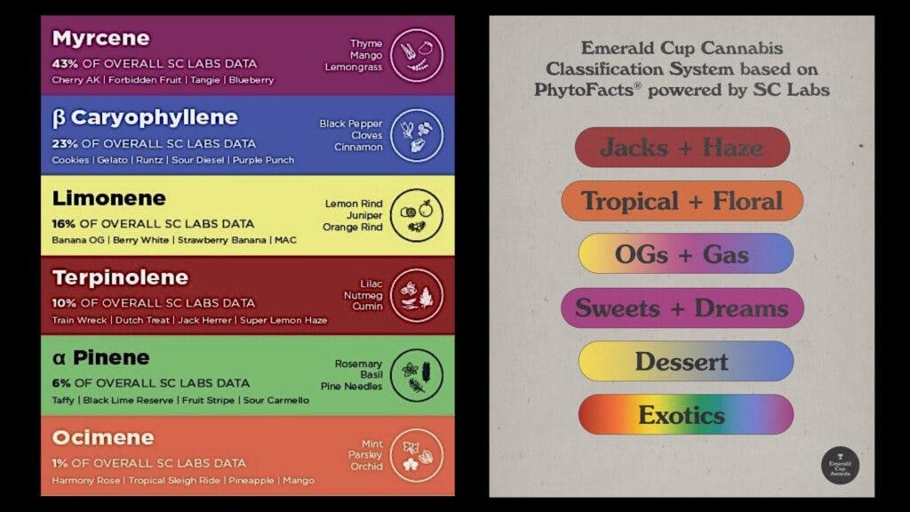 Exotic pot is actually pretty basic: Learn these six major genres of ...