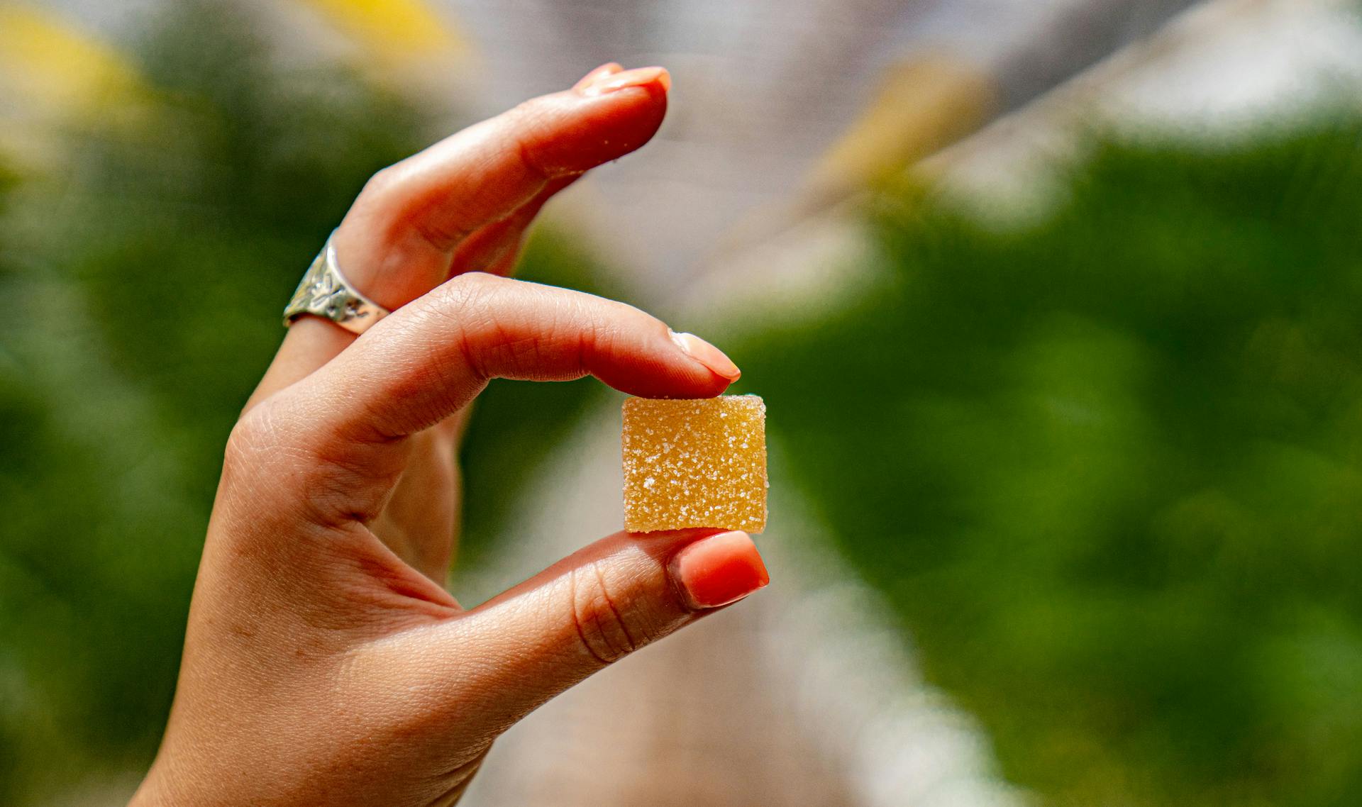 Indica vs. sativa: definition, effects, charts, differences [Updated ...