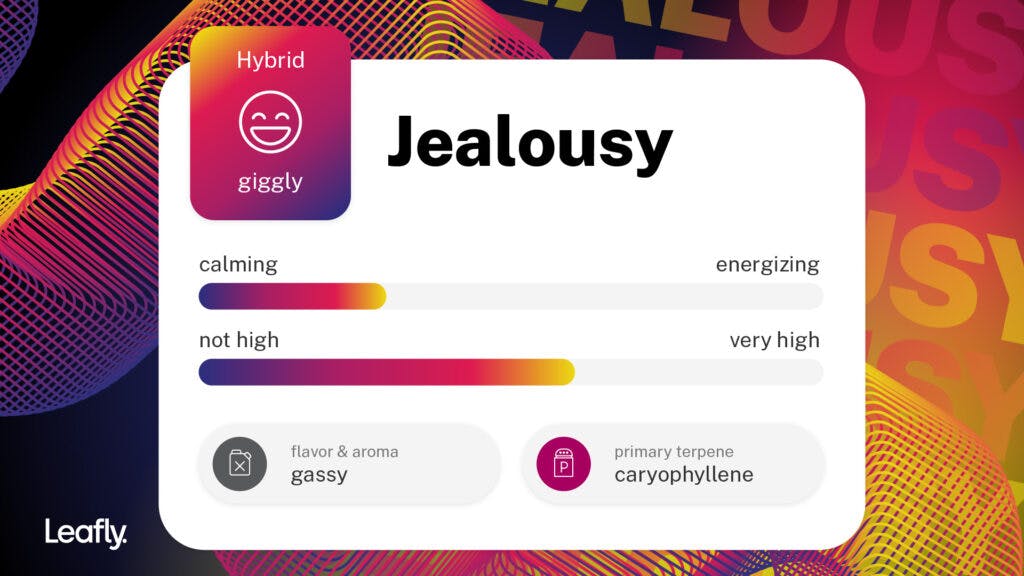 2022’s Leafly Strain of the Year is—Jealousy! | Leafly