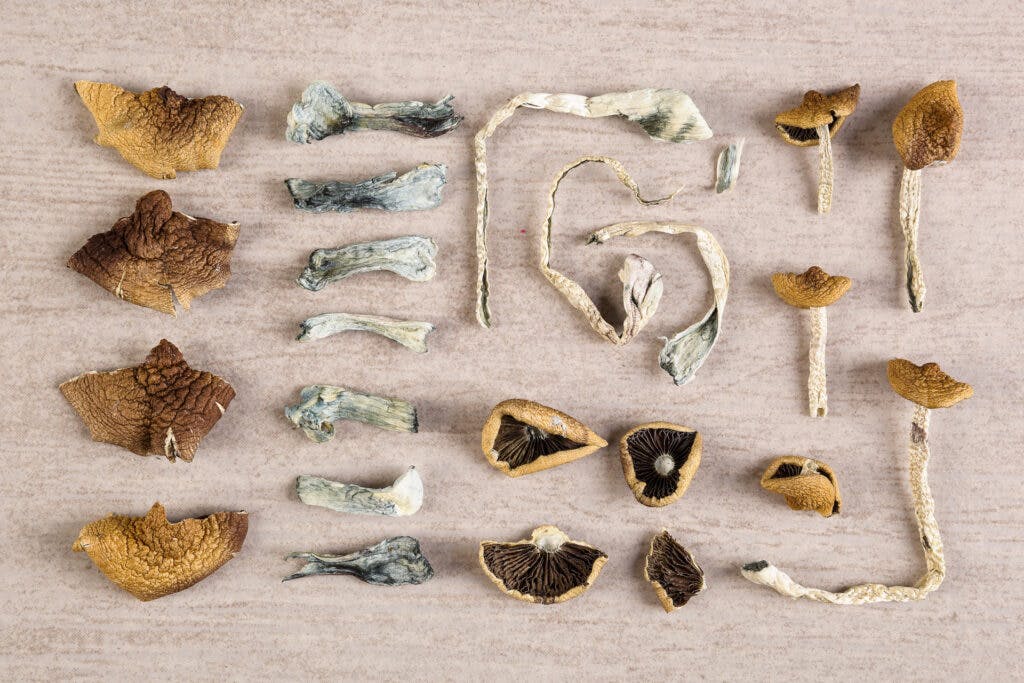 How to make magic mushroom tea, aka psilocybin tea [recipe] | Leafly