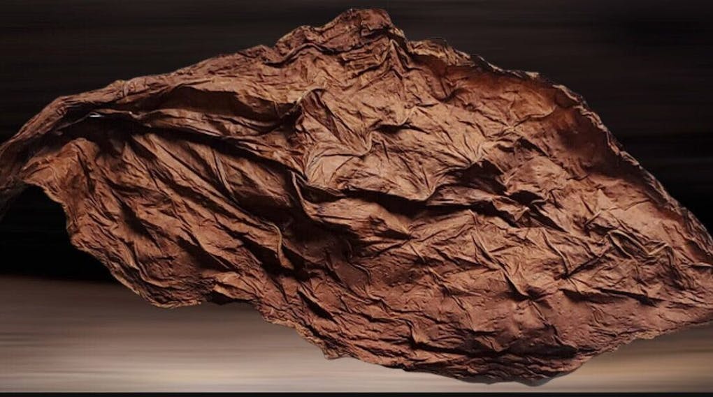 What is fronto or grabba leaf? | Leafly