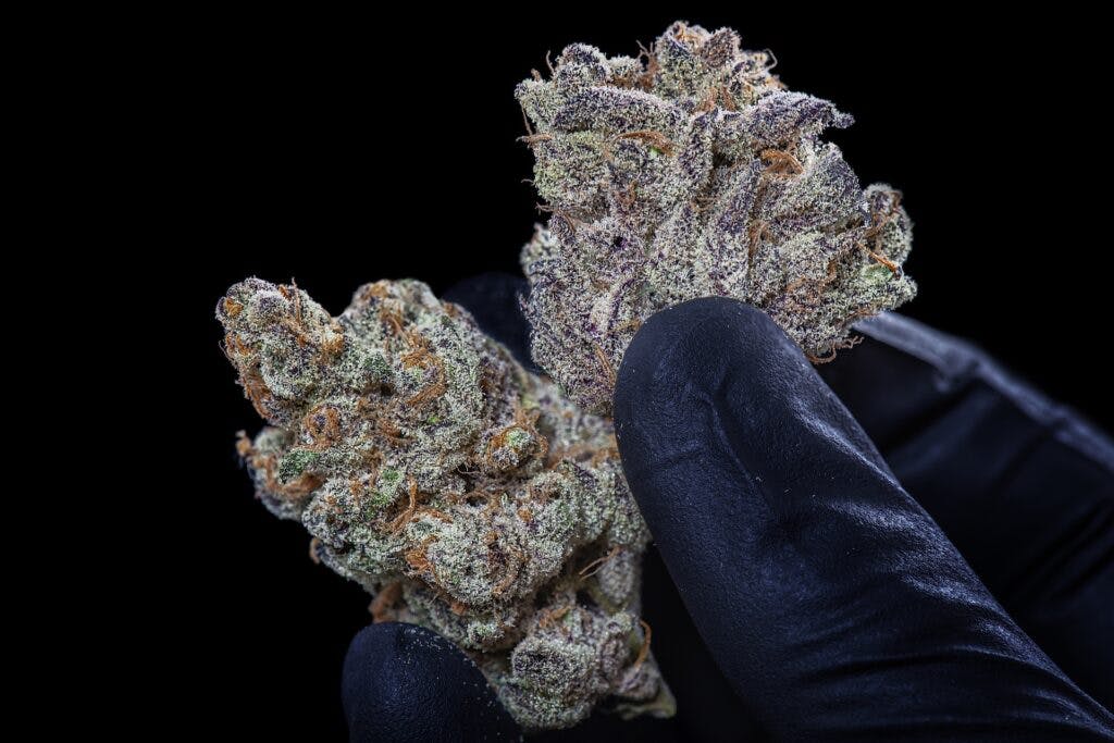 7 best Washington weed brands you must try in 2023 | Leafly