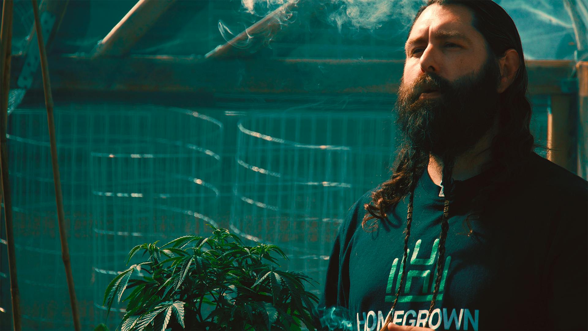 High-yielding autoflowering strains from Homegrown | Leafly