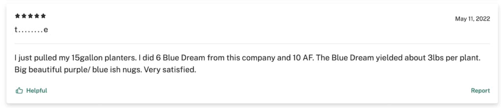 Top seed banks visited on Leafly in 2022 | Leafly