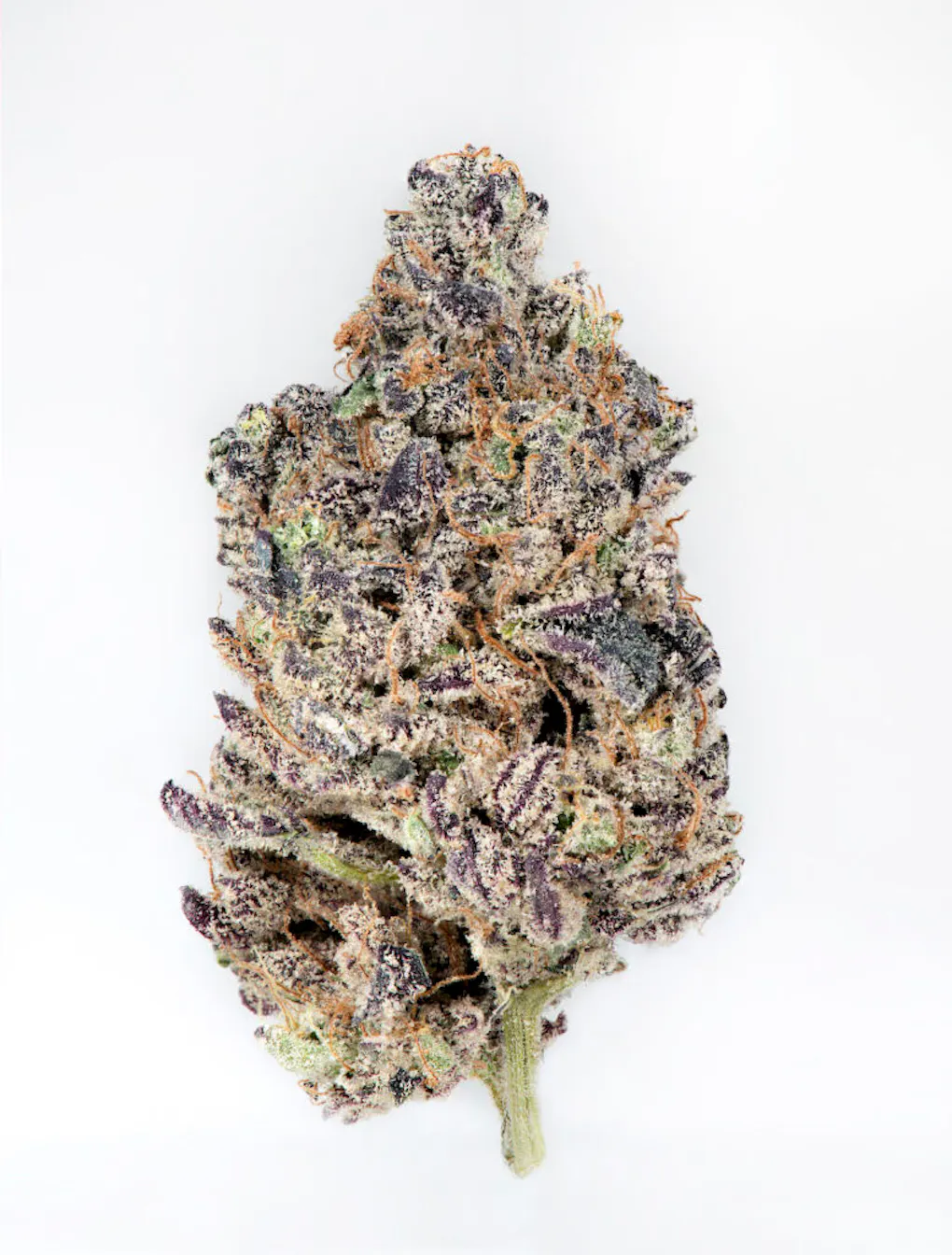 Leafly Buzz: 13 top cannabis strains of March | Leafly