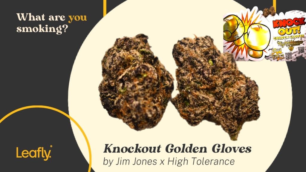 NYC Bud Crawl: Legal and legacy strains and products | Leafly