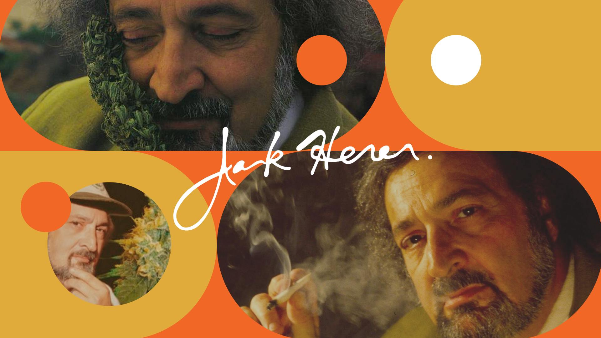 America’s best Jack Herer for Jack Herer Day and beyond | Leafly