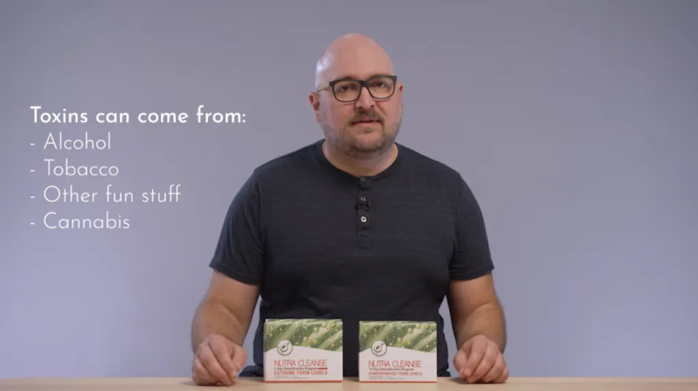 Detox kits for weed: How to use a THC detox kit | Leafly