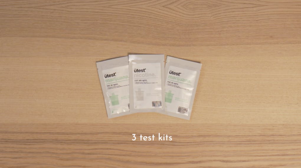 Detox kits for weed: How to use a THC detox kit | Leafly