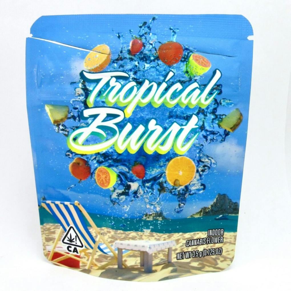 Tropical Burst—Seed Junky Genetics, CA, winter 2023 – Bud Billions ...