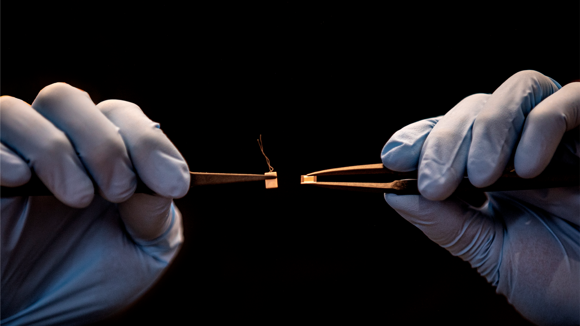 Meet Quantum Vape: A revolution in heating technology | Leafly