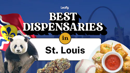 Meet the Leafly List Winners for 2016 | Leafly