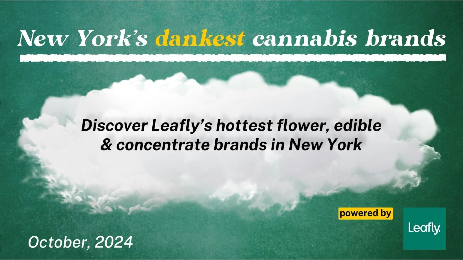 The Latest Cannabis News Today | Leafly