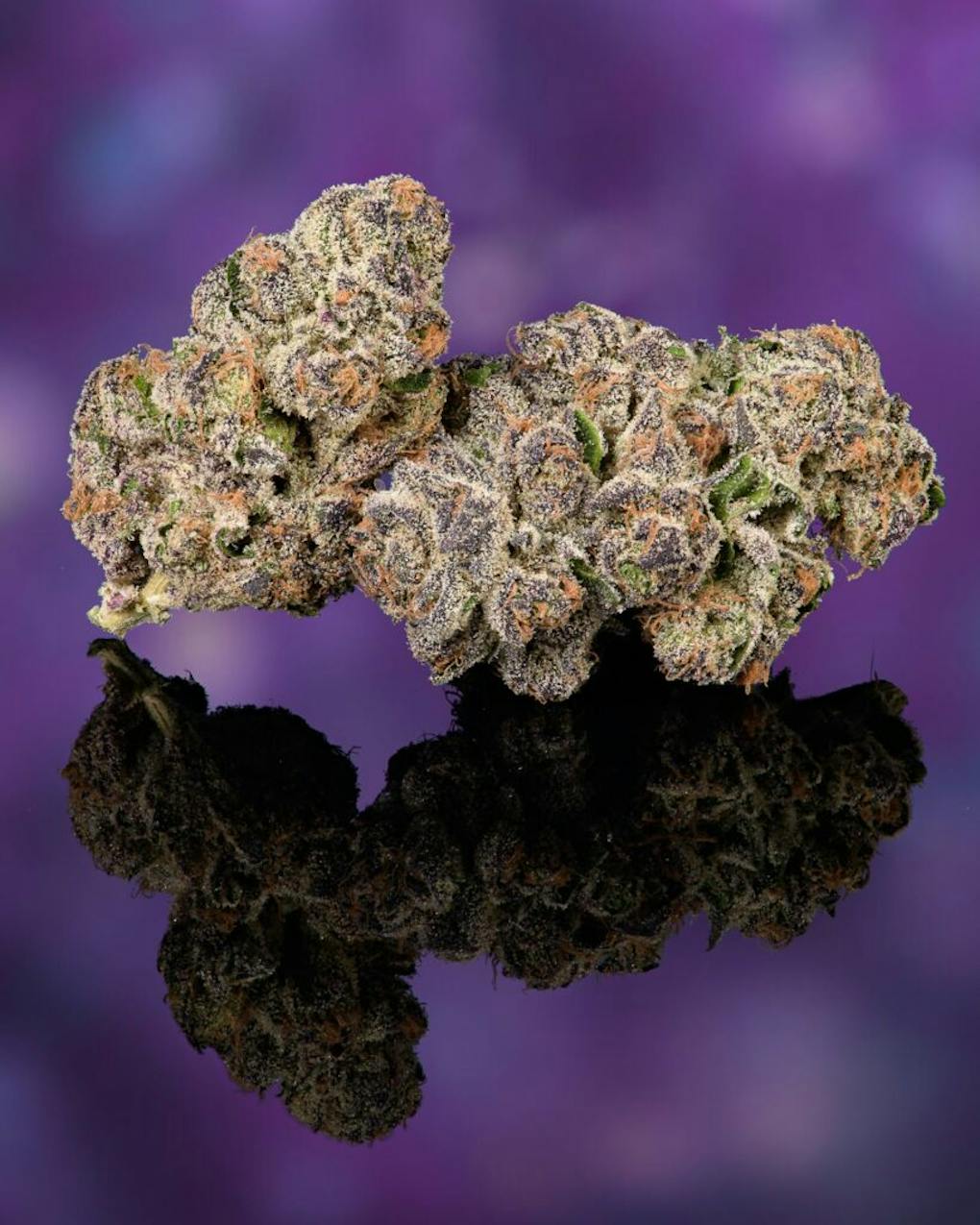 New Blueberry weed strains are about to make a wave | Leafly