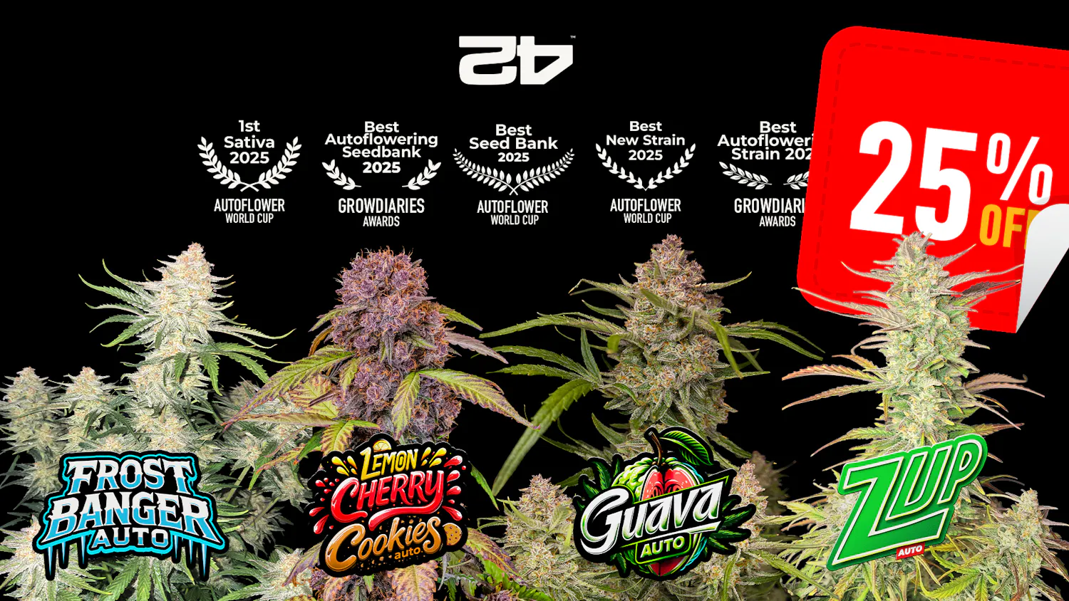 Fast Buds Autoflowering Cannabis Seeds: 🏆 Award-winning Genetics 🏆 Seed ...