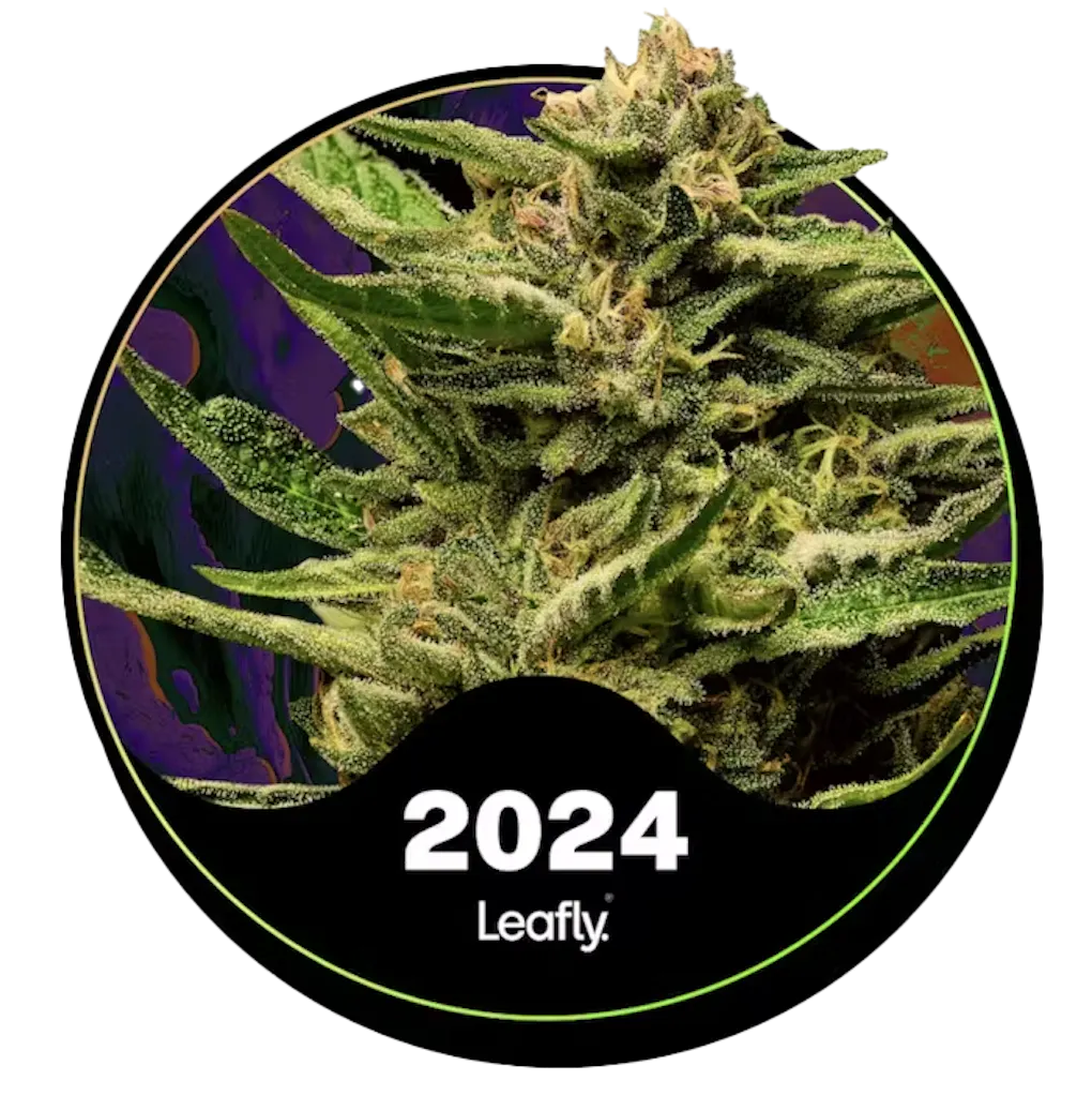 A look at back at past Leafly Strain of the Year winners | Leafly